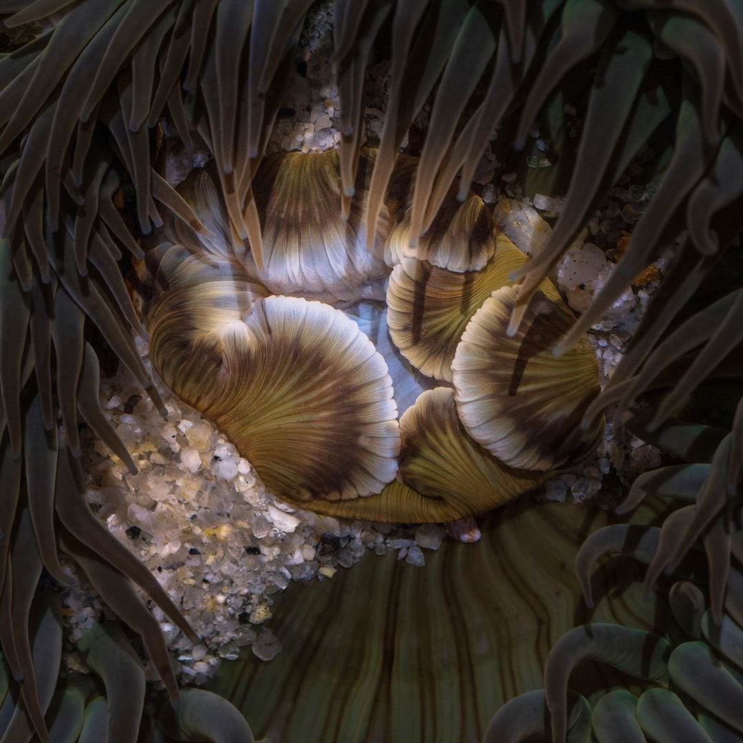 California Coast Photography Workshop: Big Sur & Monterey | Exploring ...